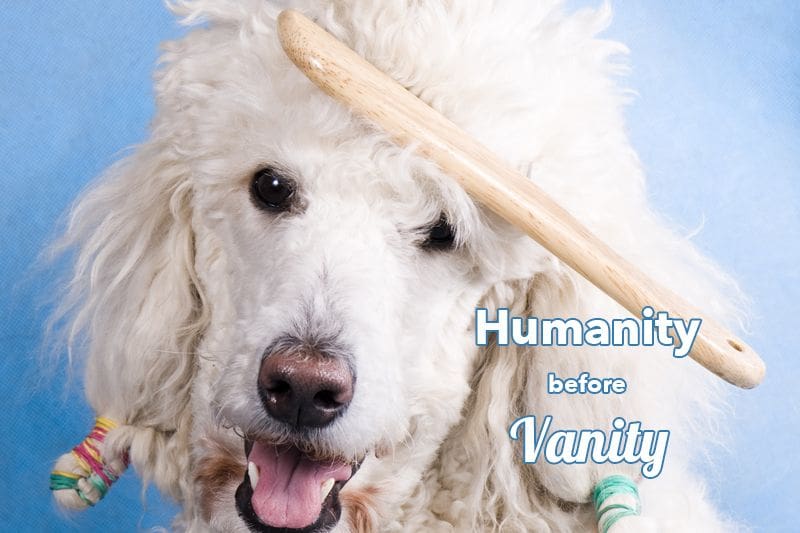 Humanity Before Vanity